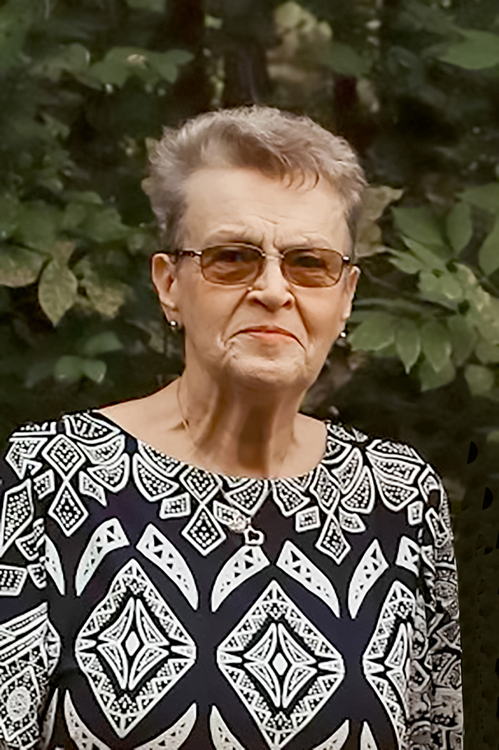 Published on November 19, 2024 at 3:29pm EST | Author: frazeevergas